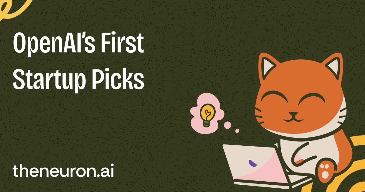 🐈 OpenAI’s first startup picks
